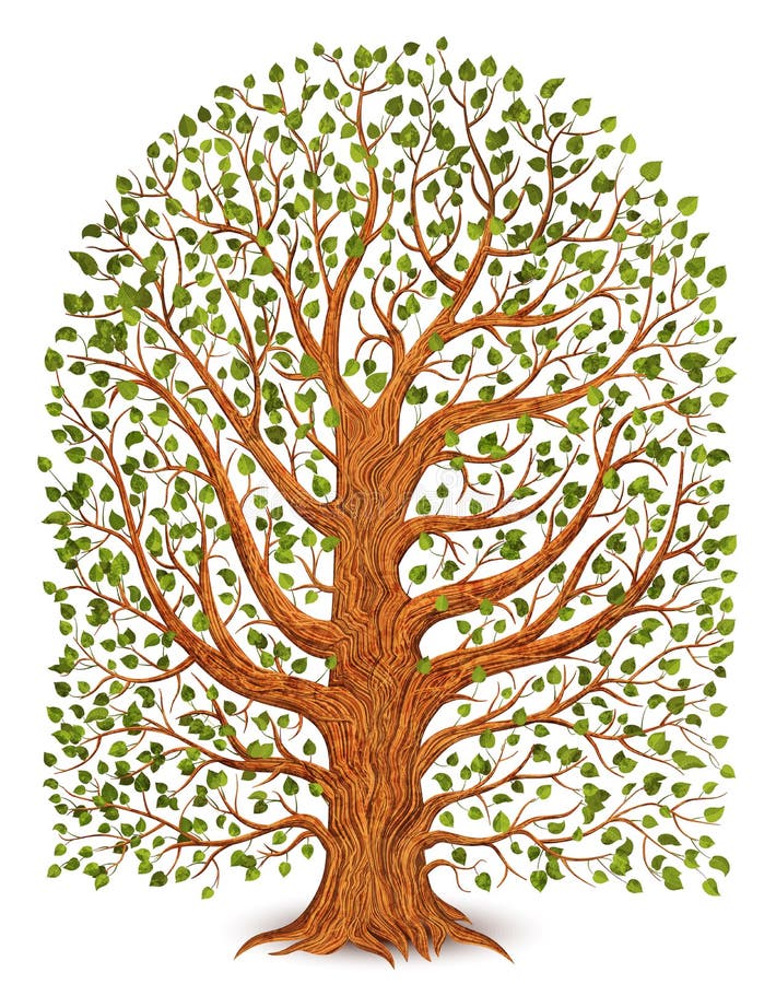 Old tree vector stock vector. Illustration of olive - 101125162