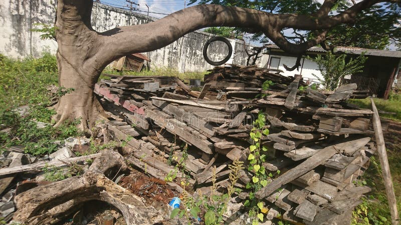 Old Tree Junkyard Soil Wood Poor Damage Stock Image - Image of soil ...