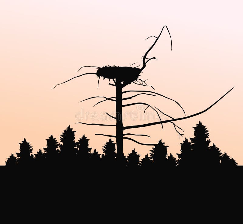 An old tree with a nest stock vector. Illustration of simple - 48504174