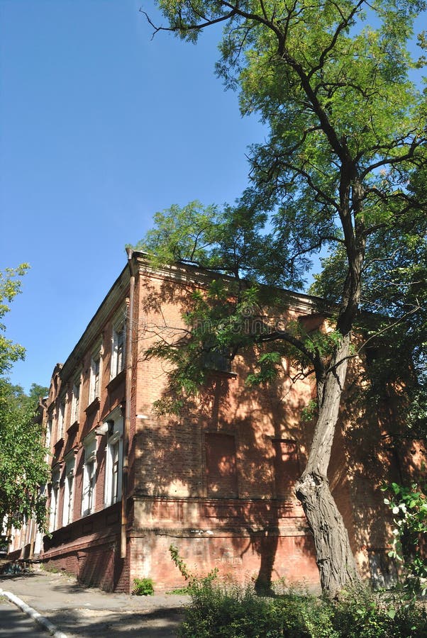 The Old Tree beside of Old Building Stock Image - Image of acacia ...