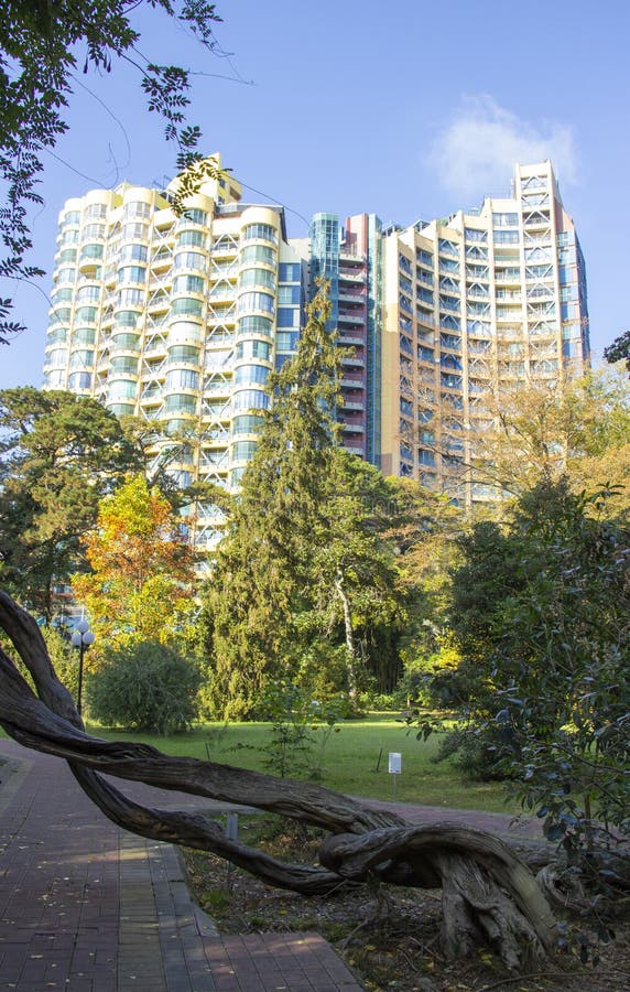 Old Tree with Open, Beautiful Roots in the Autumn Forest Against the ...