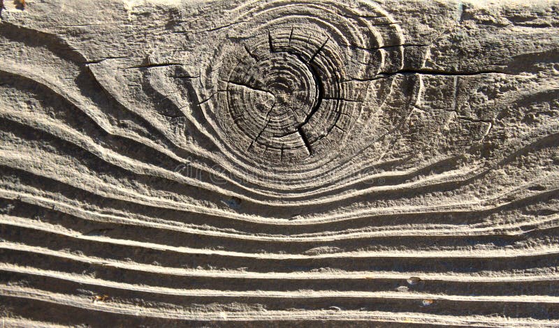 Old tree pattern stock image. Image of pattern, ancient - 14171157