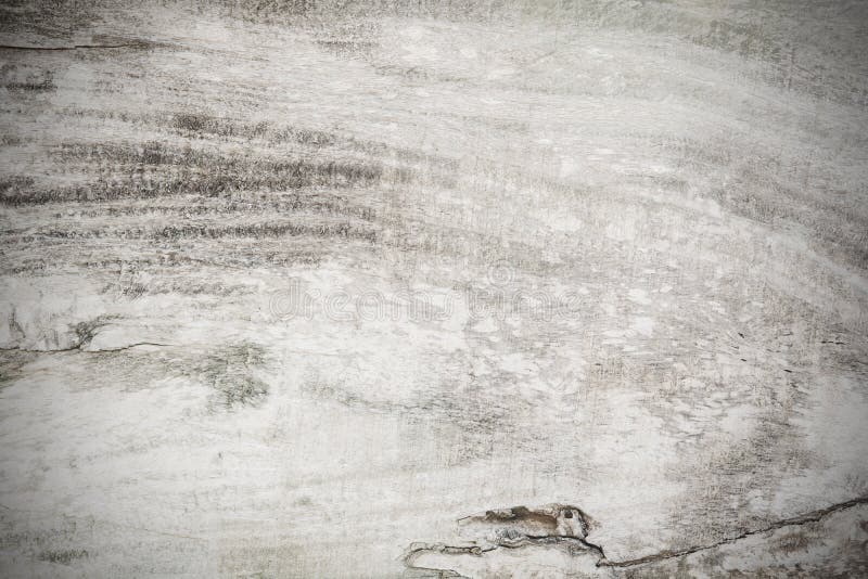 Old Tree Pattern and Old Wood Stock Image - Image of board, abstract ...