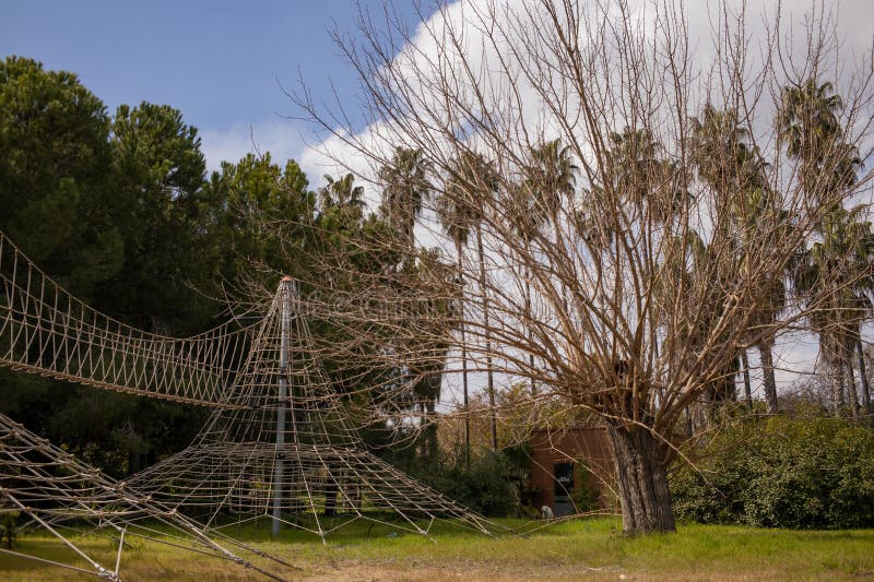 An Old Tree with a Powerful Trunk and Fallen Leaves Stock Photo - Image ...
