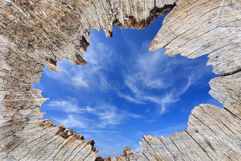 Old Tree Stump and Blue Sky on Middle Part Stock Image - Image of ...
