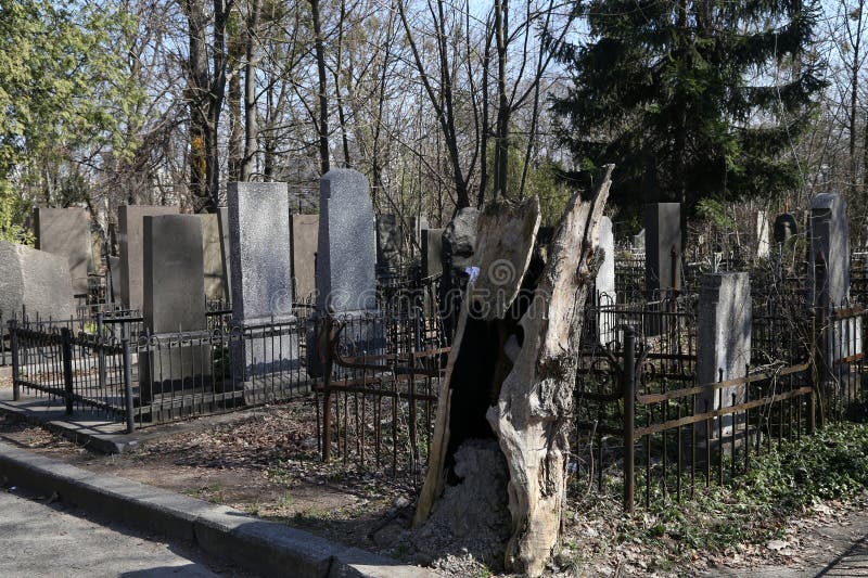 Old Tree Stump at the Cemetery Near Graves Stock Image - Image of stump ...