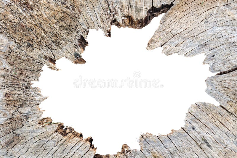 Old Tree Stump Isolated Middle Part Stock Photos - Free & Royalty-Free ...