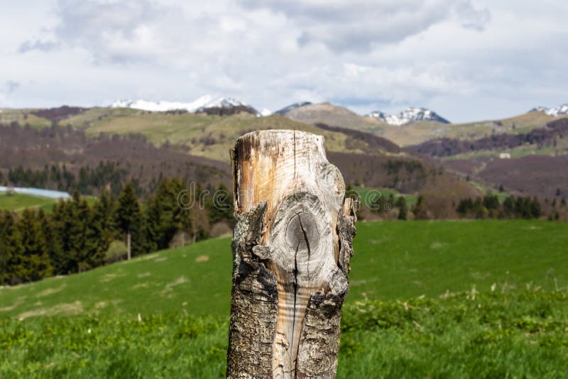 Mountain Landscape With Tree Stump Stock Image - Image of outdoor ...