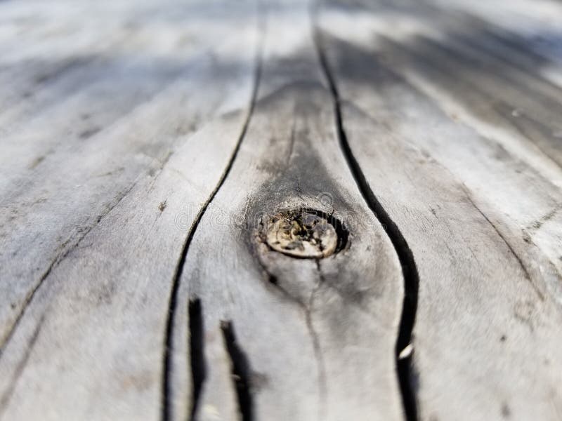 The old tree table stock image. Image of tree, line - 112762859