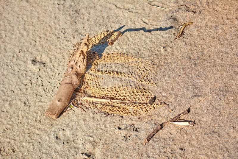 An Old Tree Tangled Up In An Old Fishing Net Stock Image - Image of ...