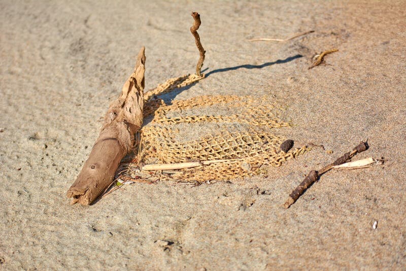 An Old Tree Tangled Up in an Old Fishing Net Stock Image - Image of ...