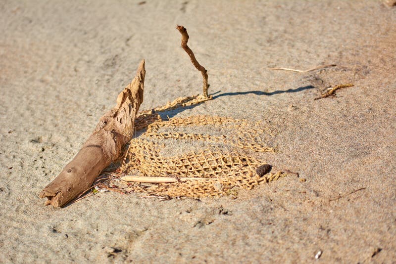 An Old Tree Tangled Up in an Old Fishing Net Stock Image - Image of ...