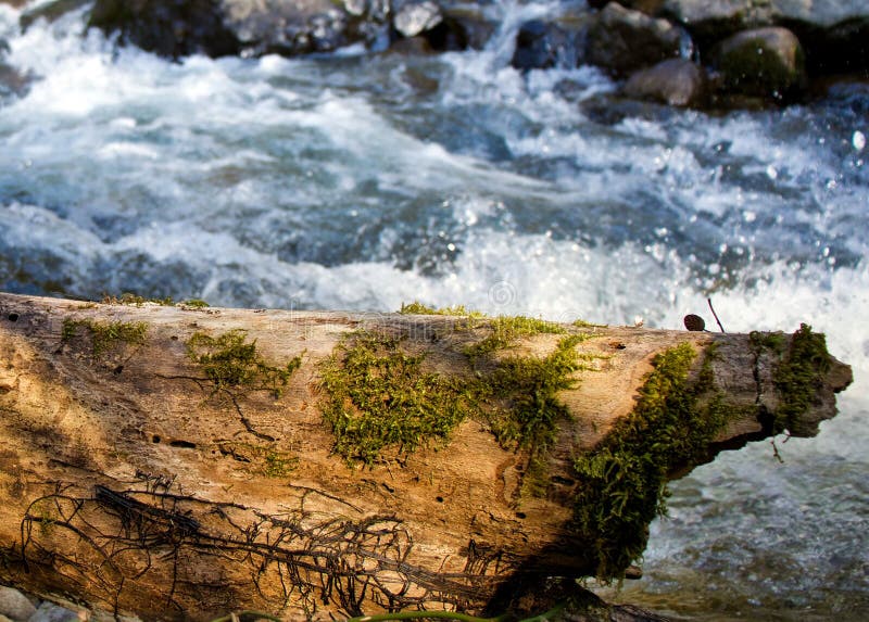 Khobistskhali Stock Photos - Free & Royalty-Free Stock Photos from ...