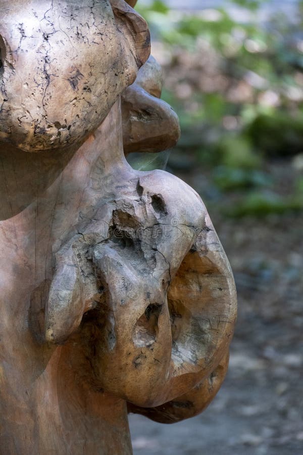 Cycling Bulges Stock Photos - Free & Royalty-Free Stock Photos from ...