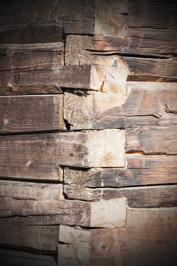 Old tree trunk wall stock image. Image of layer, dendrology - 32909145