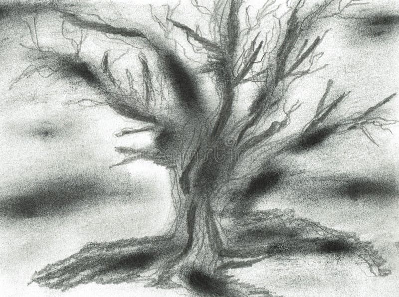 Old Tree in the Wind, Hand Drawn Pencil Drawing Stock Photo - Image of ...