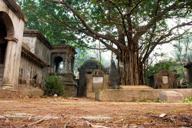 Old Trees and Gravestones in Cemetery Editorial Image - Image of calm ...