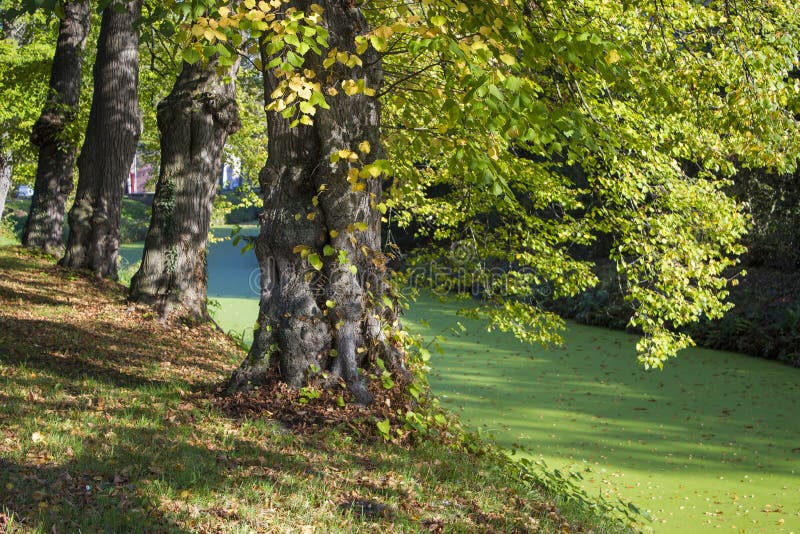 1+ Wissen castle Free Stock Photos - StockFreeImages