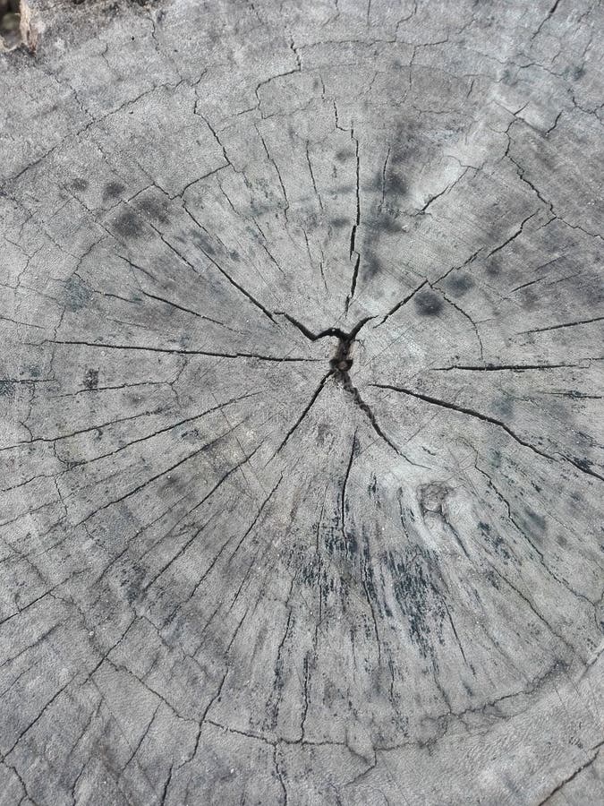 Cut wood pattern stock photo. Image of wood, pattern - 246404662