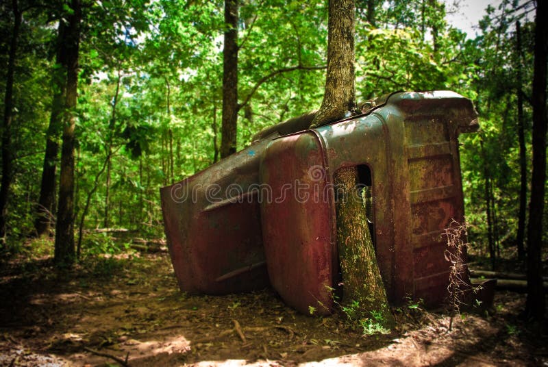 Old truck in a forrest stock image. Image of truck, trunk - 52641419
