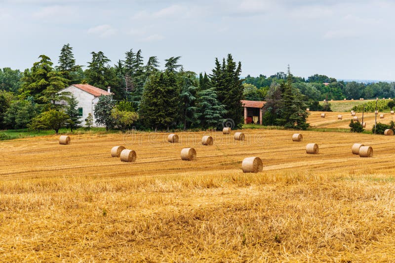 Old Tuscan Farmhouse in Italy Stock Image - Image of beautiful, sunny ...