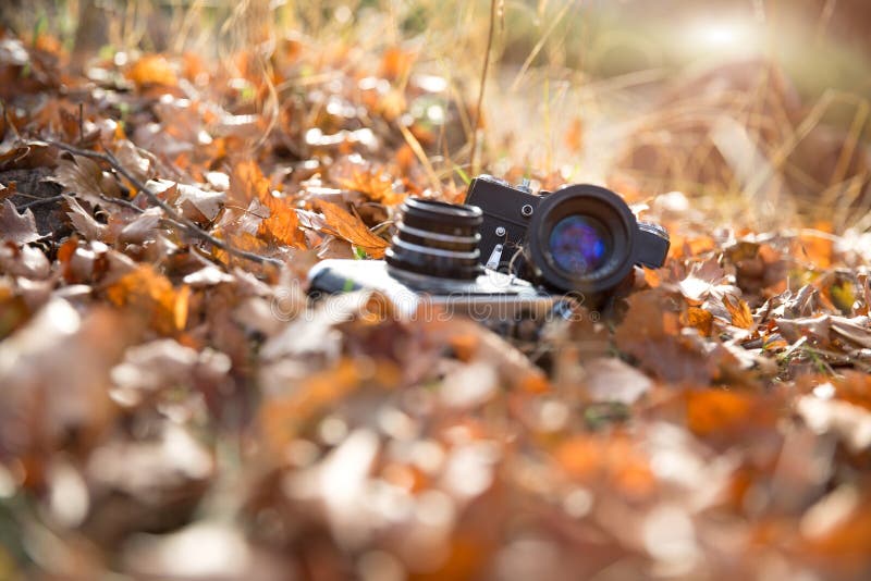 Old two photo camera stock image. Image of lens, retro - 135016563