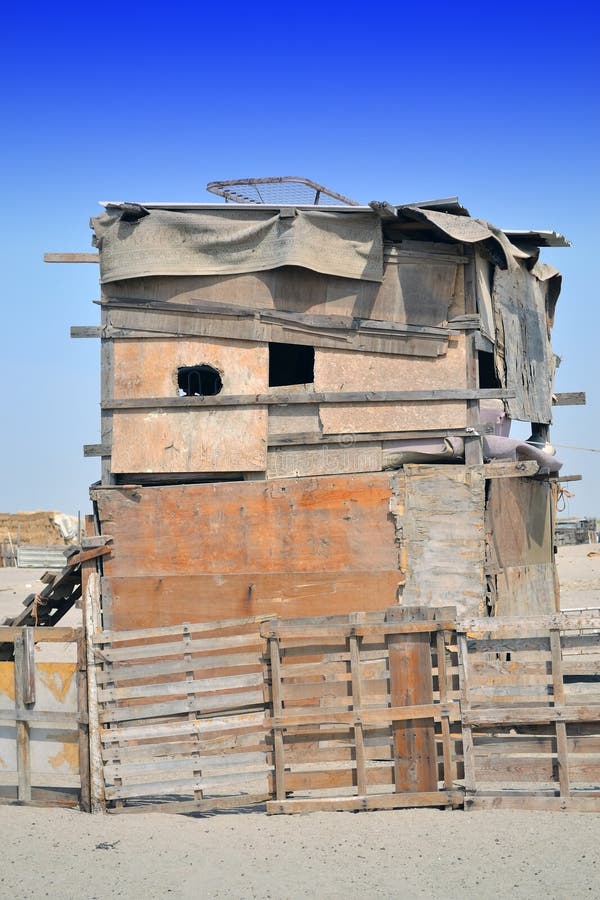 Young and Old Filipinos Working in a Rice Field Editorial Stock Image ...