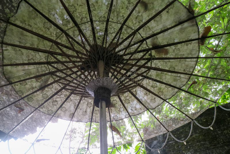 An Old Umbrella Under the Trees Stock Photo - Image of fashion, family ...