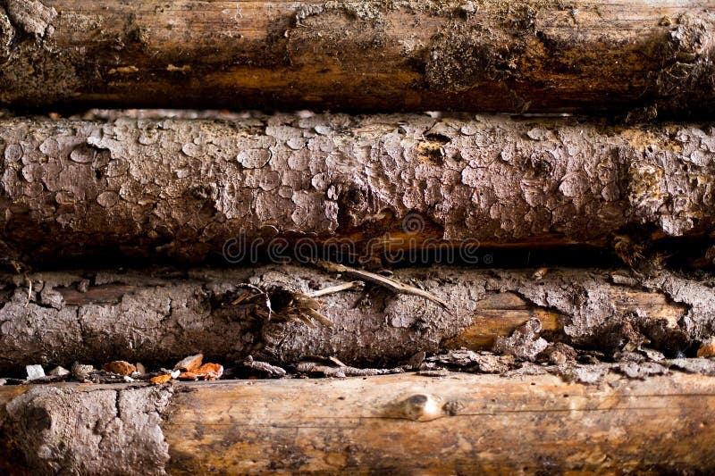 Unprocessed Wood Plank Texture Stock Photos - Free & Royalty-Free Stock ...