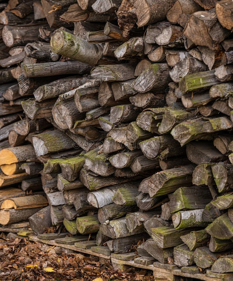 Old Unused Fire Wood Stacked in a Dry Place.. Stock Photo - Image of burn, dried: 350799882