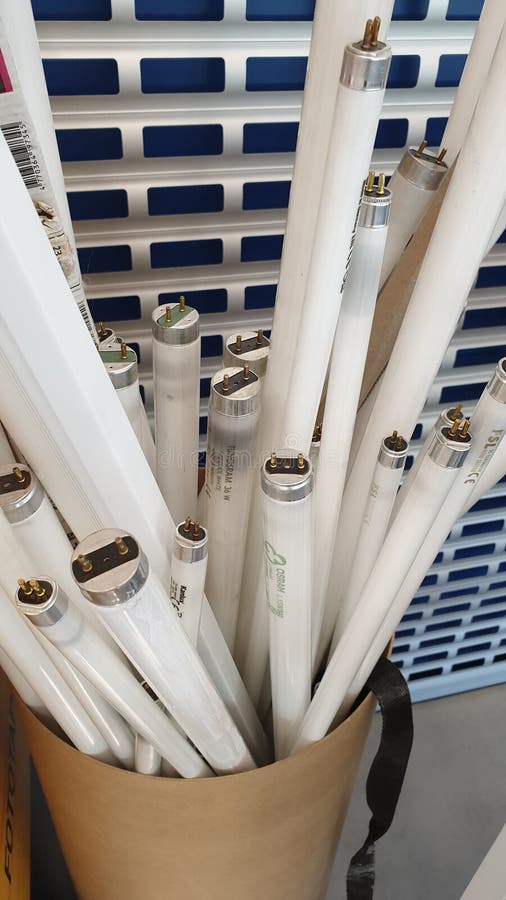 Different Light Bulbs Collected for Recycling. Editorial Photography ...