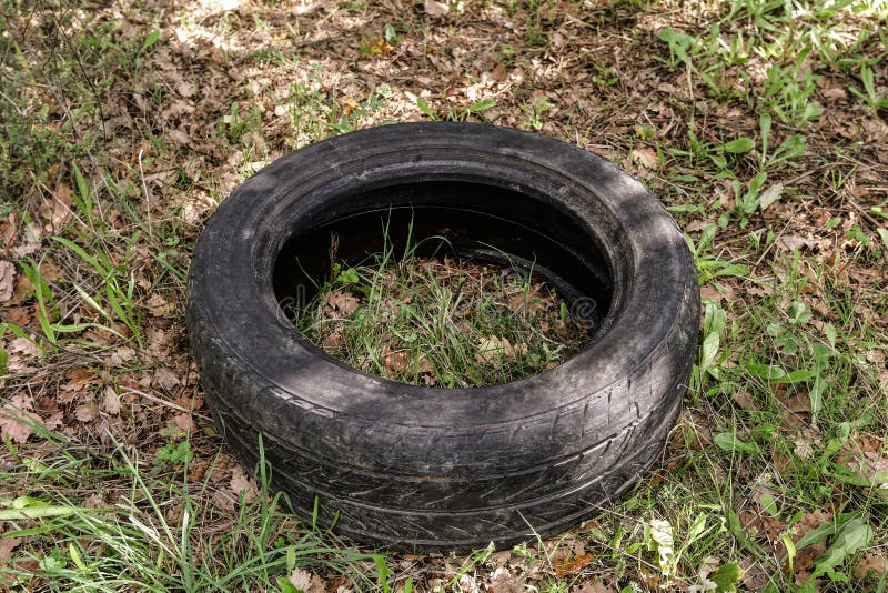Old Used Rubber Car Tire Discarded on Raw Forest Ecosystem ...