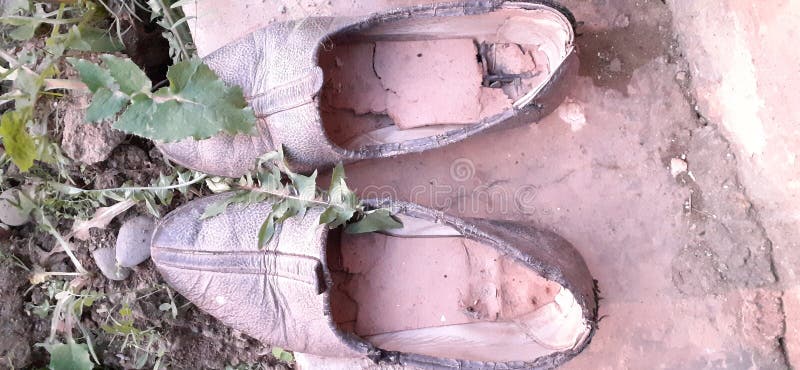 Old useless shoes stock photo. Image of food, wood, drawing - 171739602