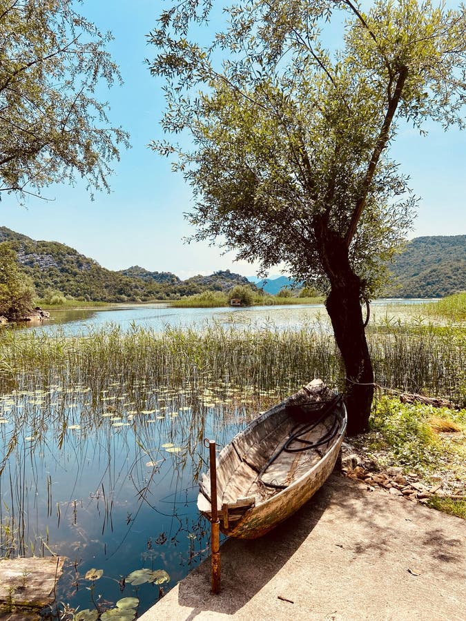 Old Vallam by the River with Dense Vegetation on a Sunny Day, Vertical ...