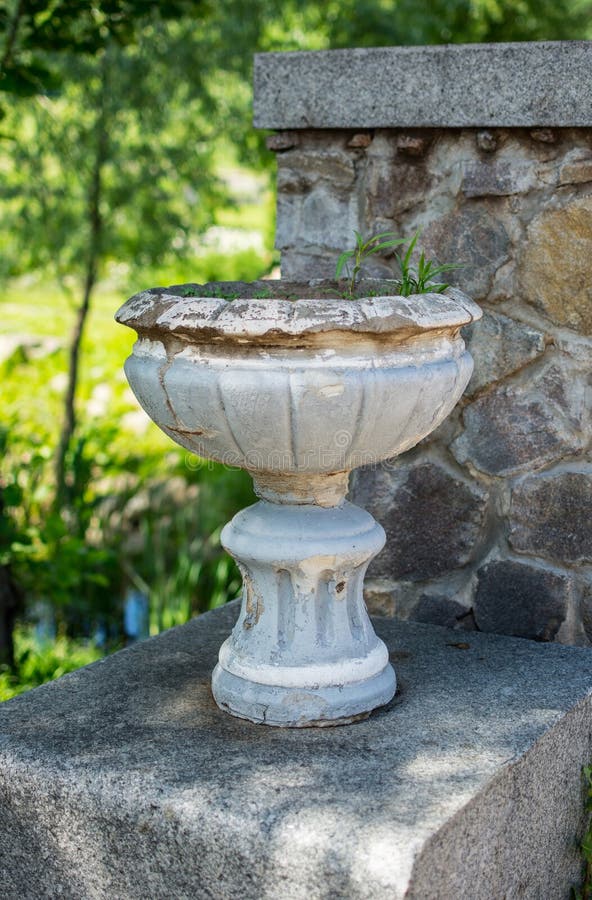 Old vase stock image. Image of tree, vase, flower, green - 31991887