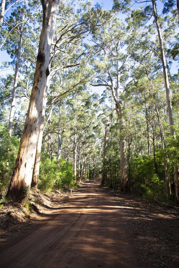 Vasse Road Stock Photos - Free & Royalty-Free Stock Photos from Dreamstime