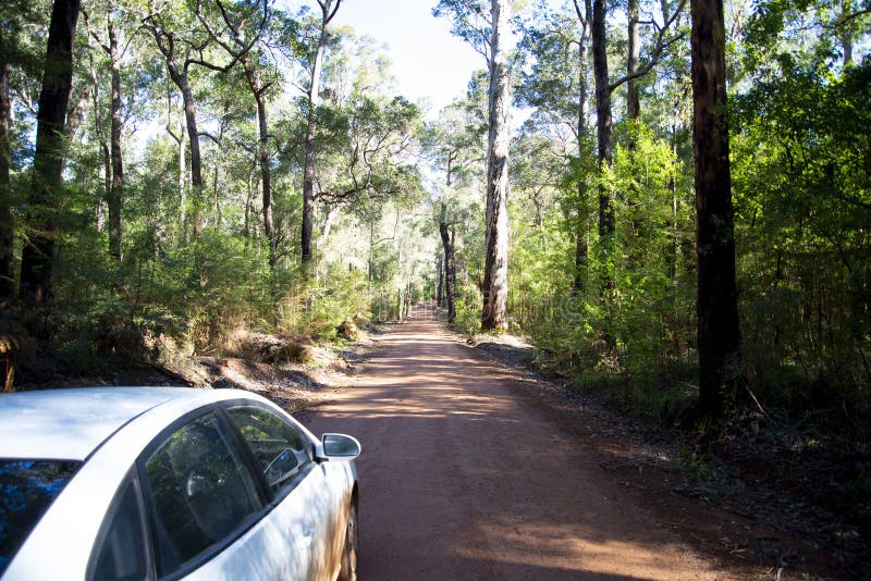 Old Vasse Road stock photo. Image of tree, vasse, scenery - 272236752
