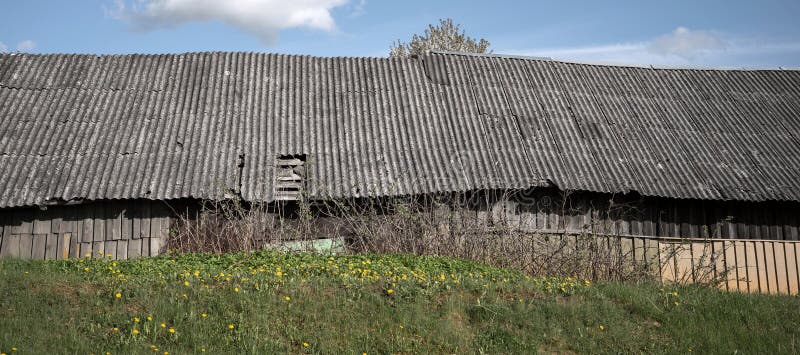 Old and Very Dangerous Asbestos Roof. Asbestos Dust in the Environment ...