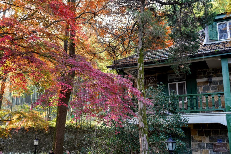 Old Villa and Autumn Red Maple Leaves Stock Image - Image of late ...
