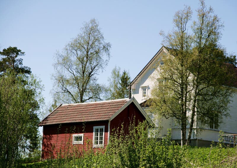 Old shed stock photo. Image of summer, wood, timber, scenic - 2621784