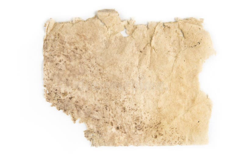 Old Vintage Blank Paper. Texture Concent for Backgrounds. Stock Photo ...