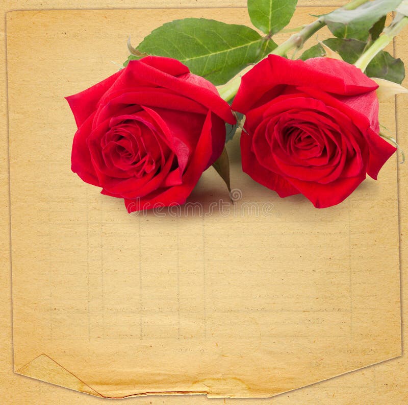 Old Vintage Card with a Beautiful Red Rose on Paper Stock Image - Image ...