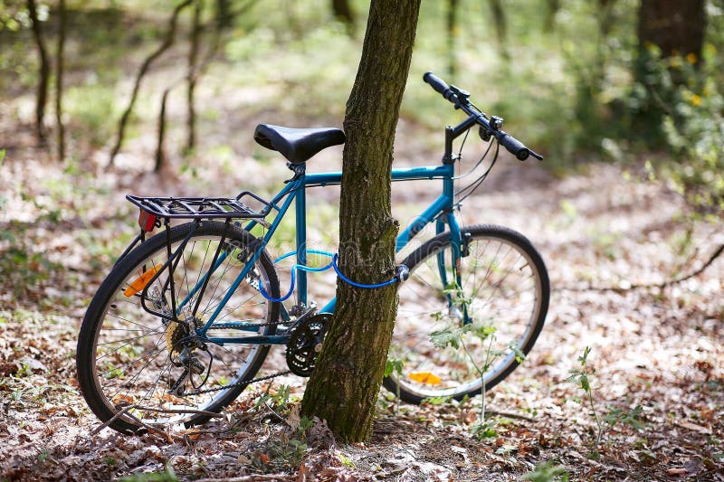 Old Vintage City Bicycle Secured by a Rope with Forest Tree Stock Image ...