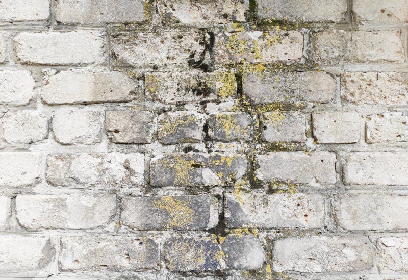 Old Vintage Damp Wall during the Day Stock Image - Image of brick ...