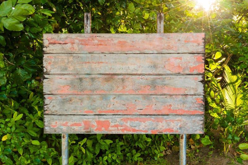 Old Vintage Empty Board Sign In The Forest Stock Image - Image of ...