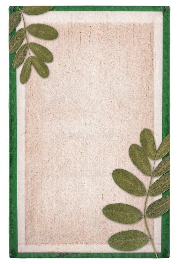 Old Vintage Paper Texture with Dry Leaves Isolated Stock Illustration ...