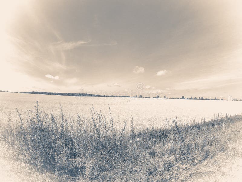 Old Vintage Photo. Sky Clouds Summer Field Stock Image - Image of rough ...