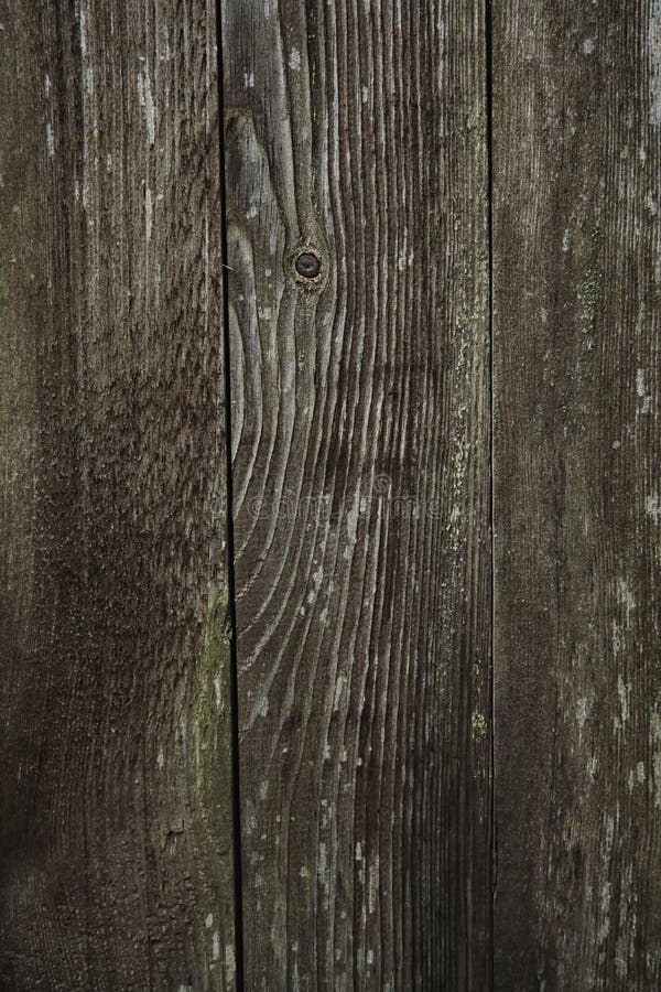 Old Vintage Planked Wood Board Stock Image - Image of close ...