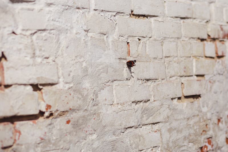 Old Vintage Red Brick Wall with Crashed White Plaster Texture Stock ...