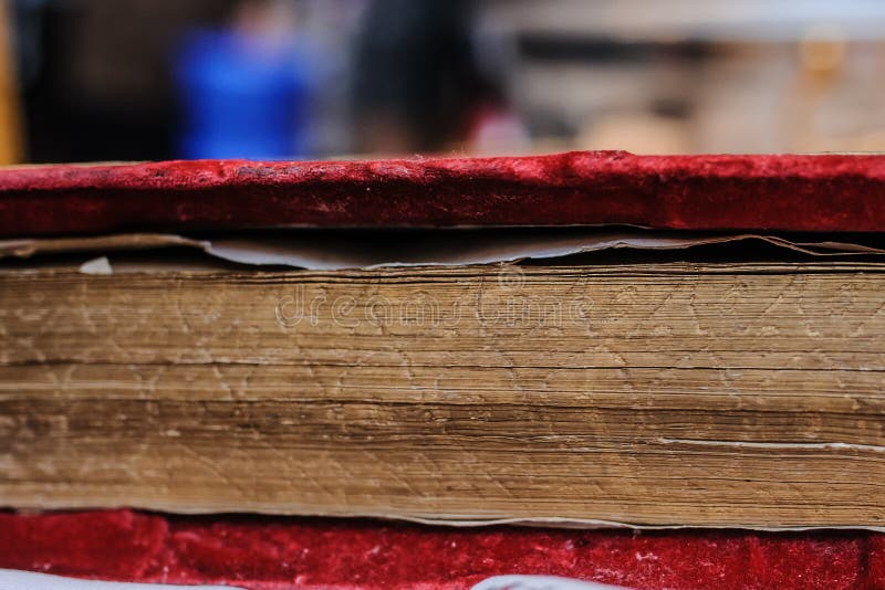 Gold book stock image. Image of blank, library, study - 37355213